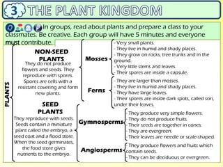 Presentation - The Classification of Living Things | PDF