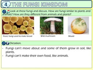 Presentation - The Classification of Living Things | PPT
