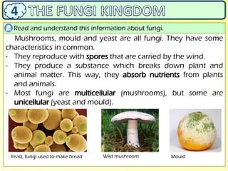 Presentation - The Classification of Living Things | PPT