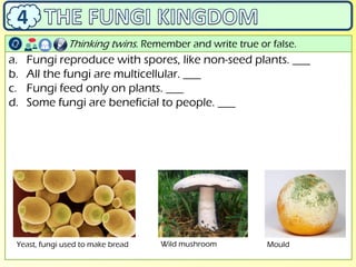 Presentation - The Classification of Living Things | PPT