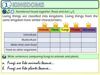 Presentation - The Classification of Living Things | PPT