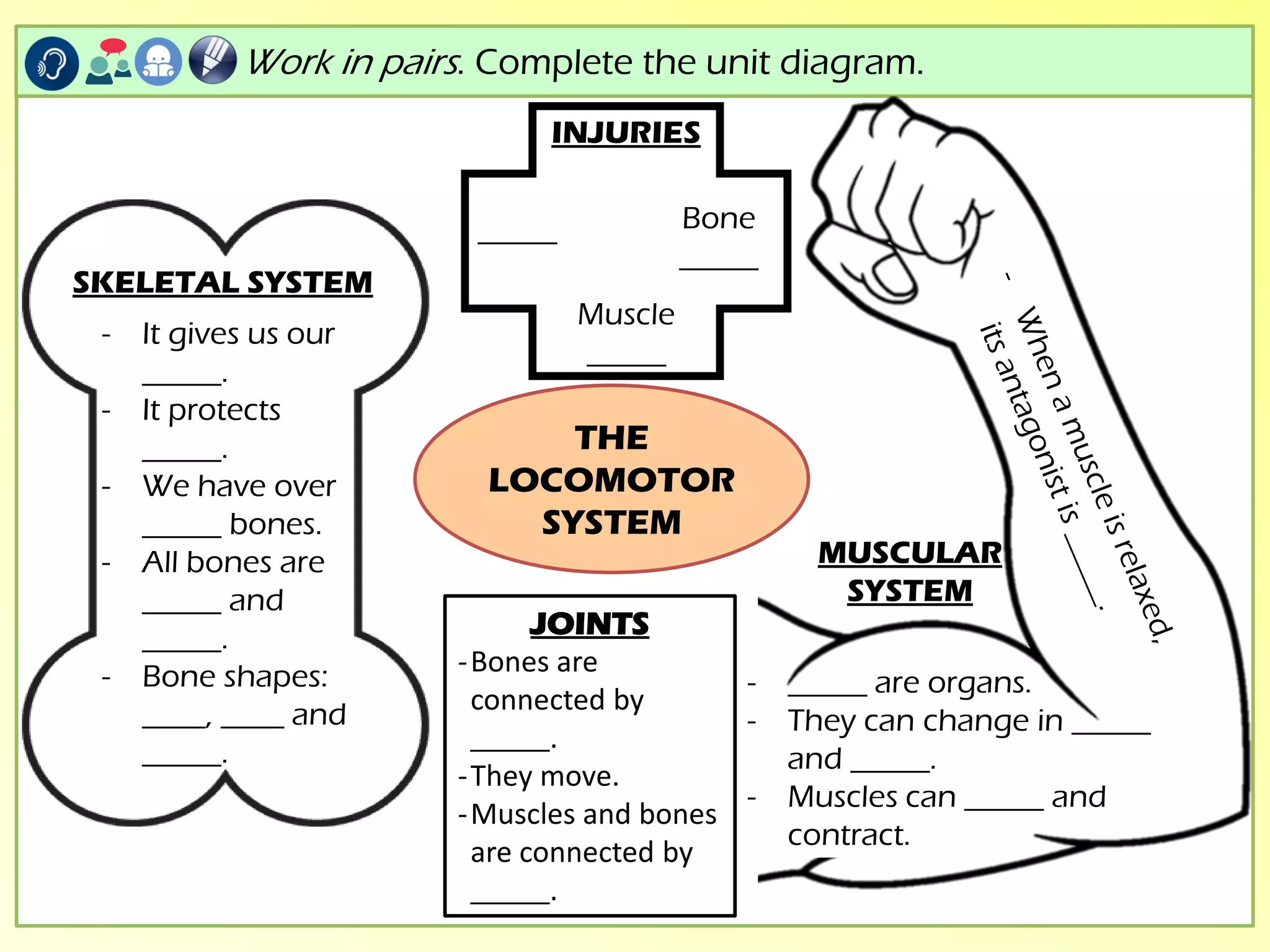 Presentation without answers: the locomotor system | PDF
