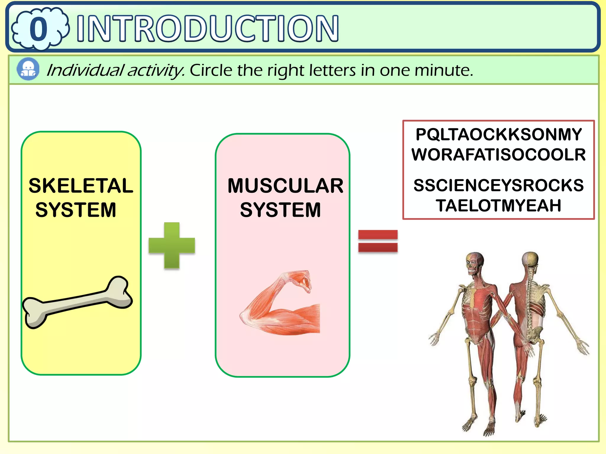 Presentation without answers: the locomotor system | PDF