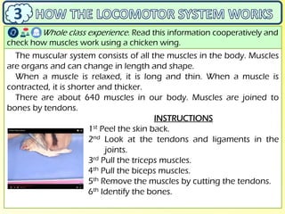 Presentation without answers: the locomotor system | PDF