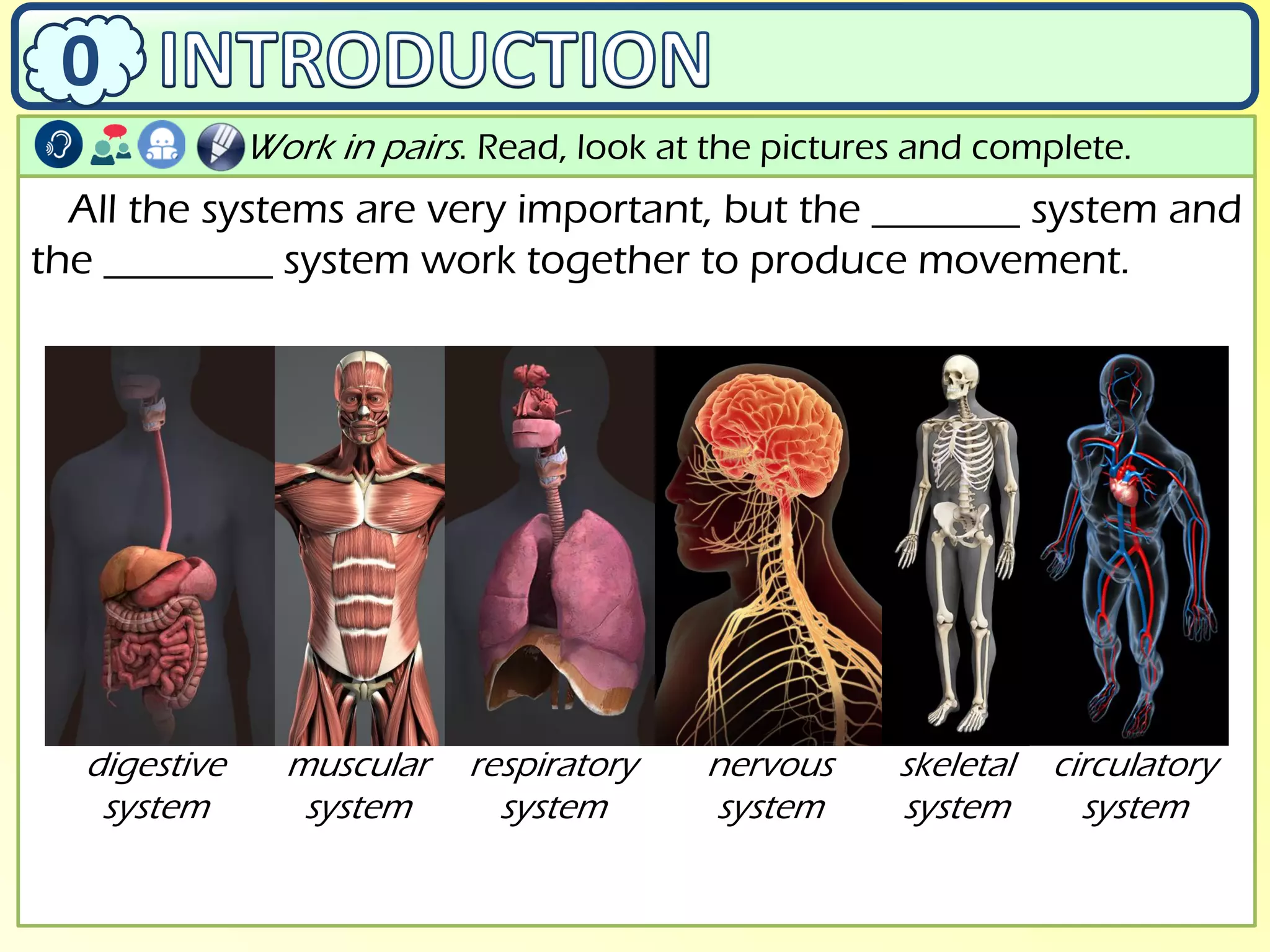 Presentation: The Locomotor System | PPT