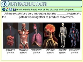 Presentation: The Locomotor System | PDF