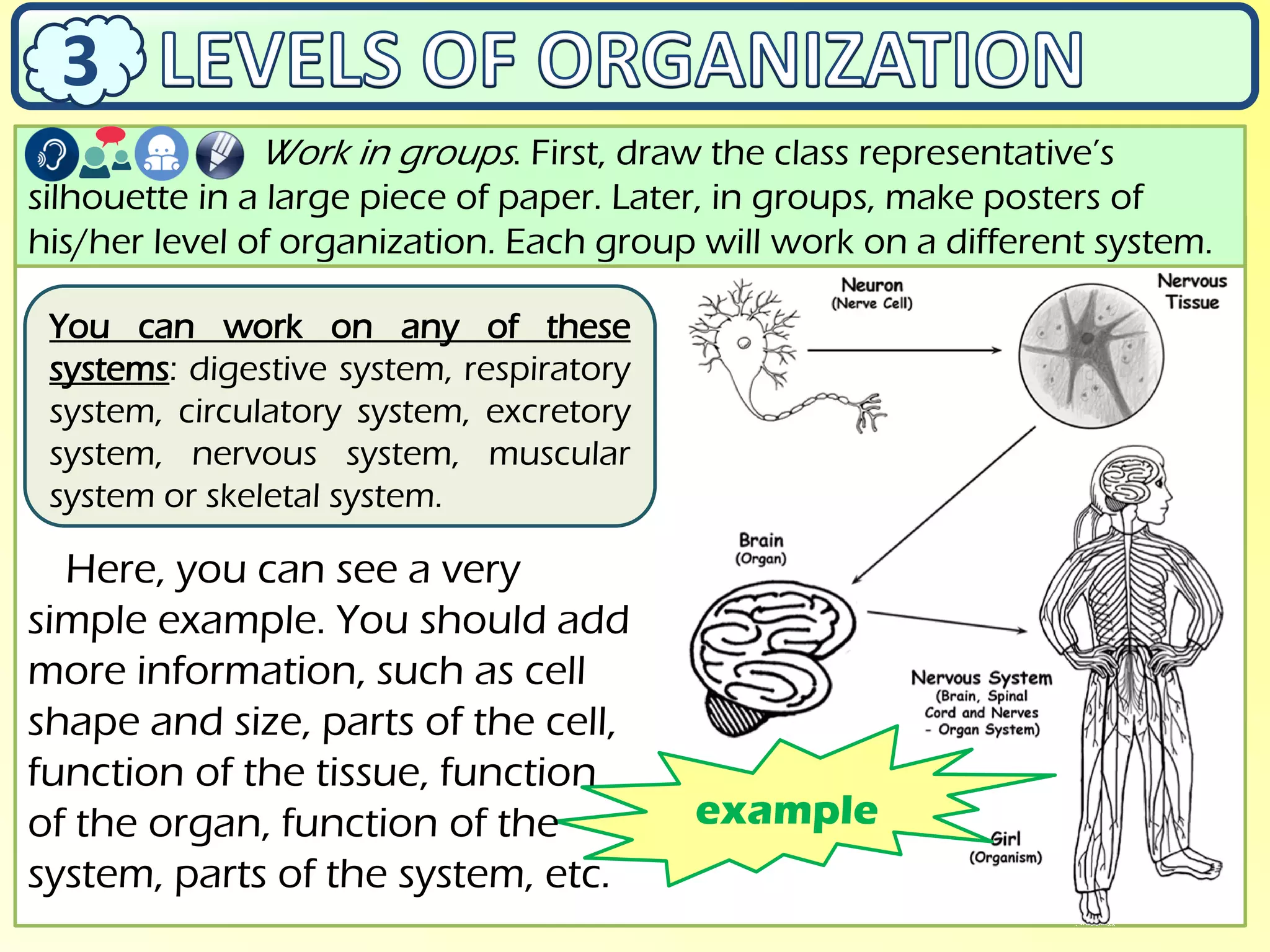 Presentation - The Organization of Living Things | PPT