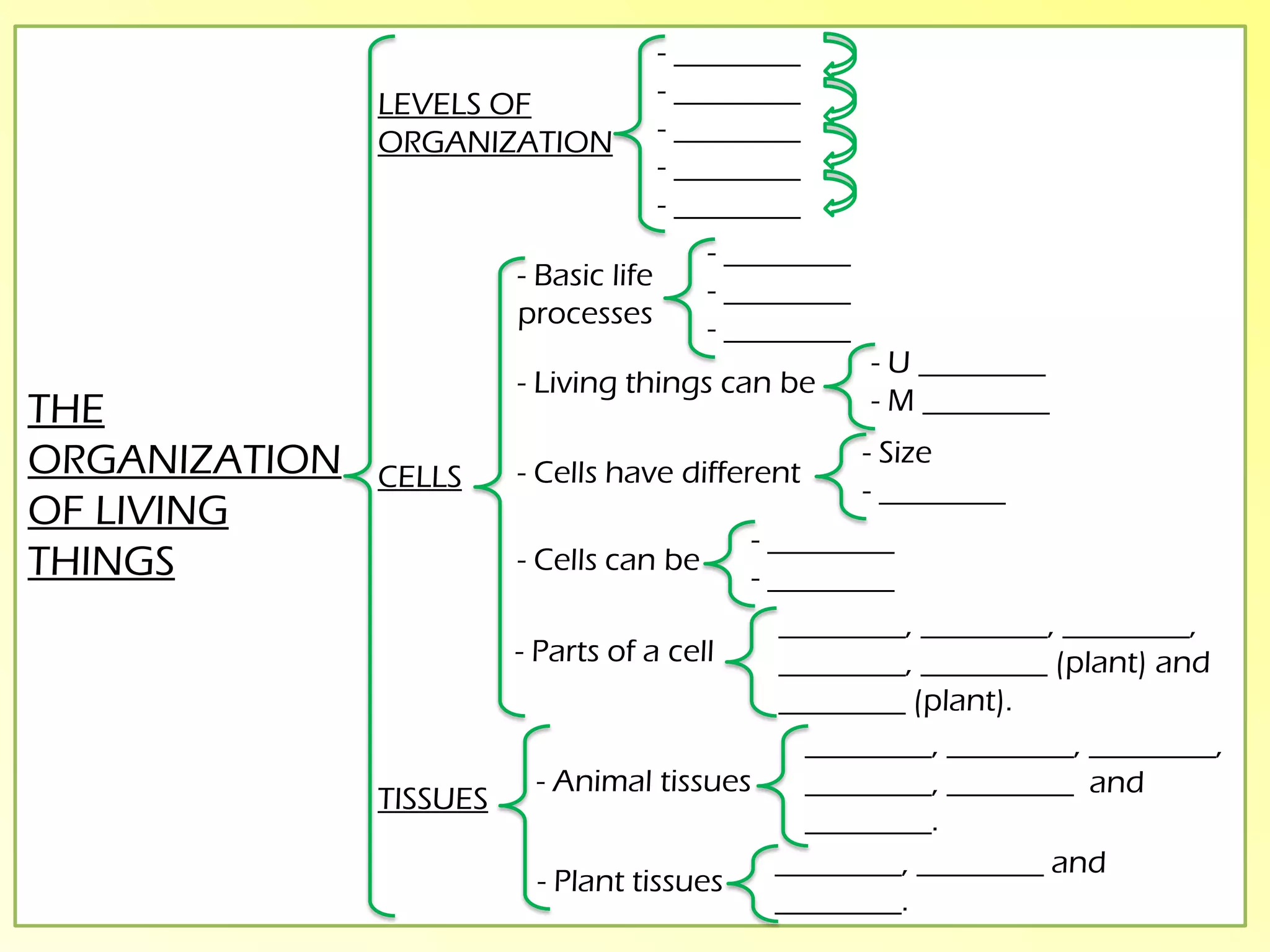 Presentation - The Organization of Living Things | PPT