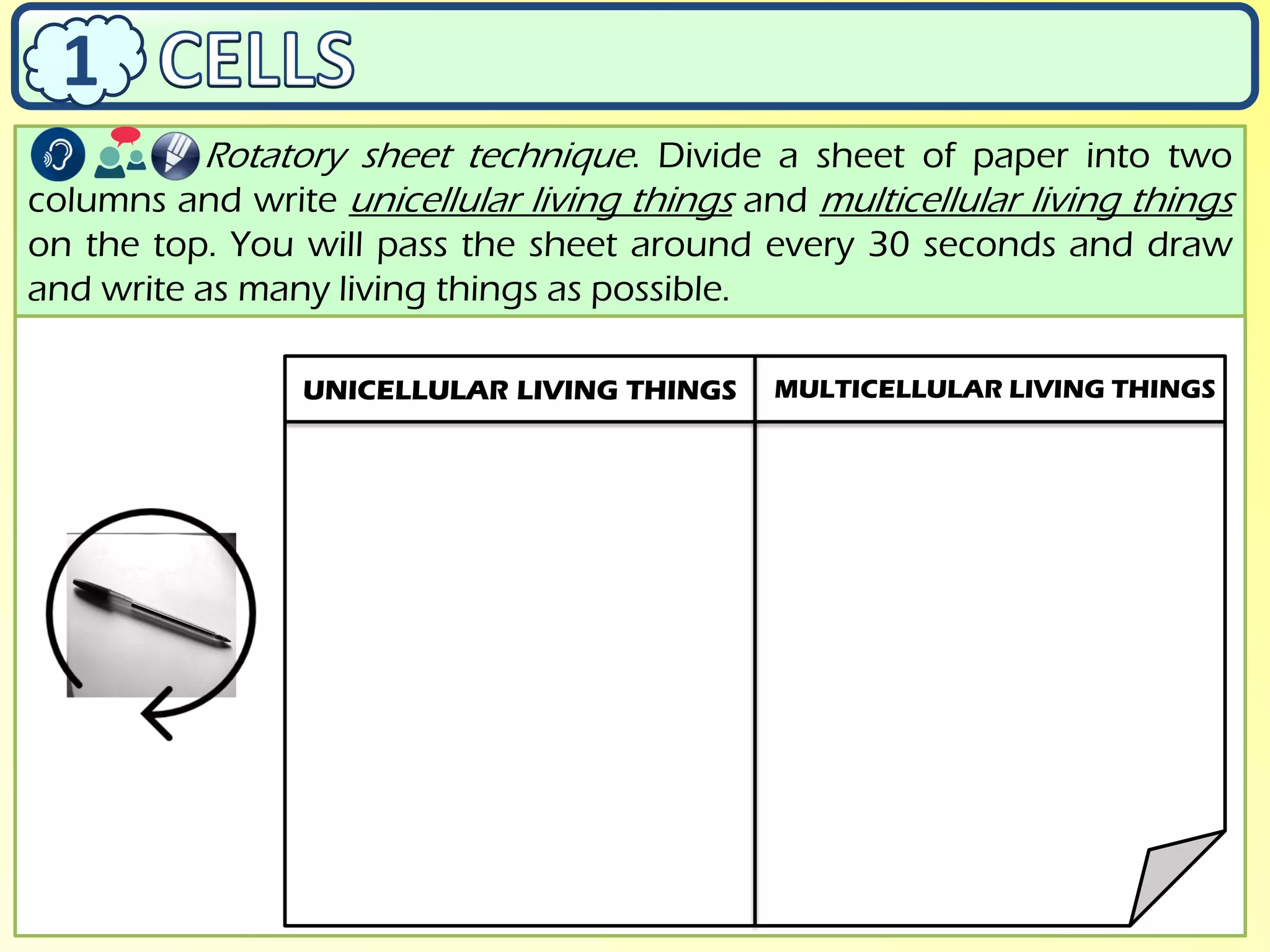 Presentation - The Organization of Living Things | PPT