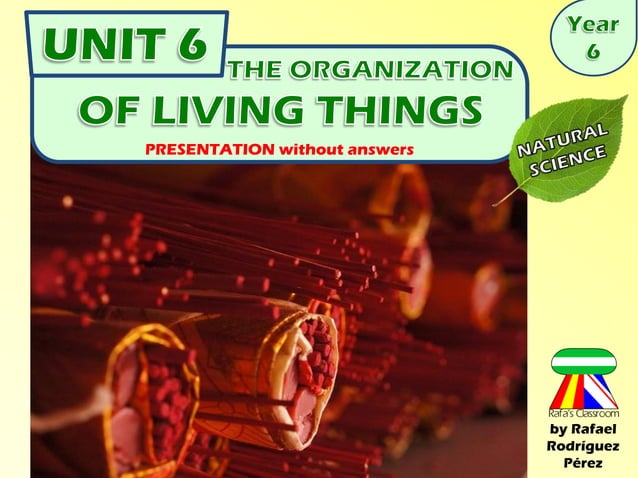 Presentation - The Organization of Living Things | PPT