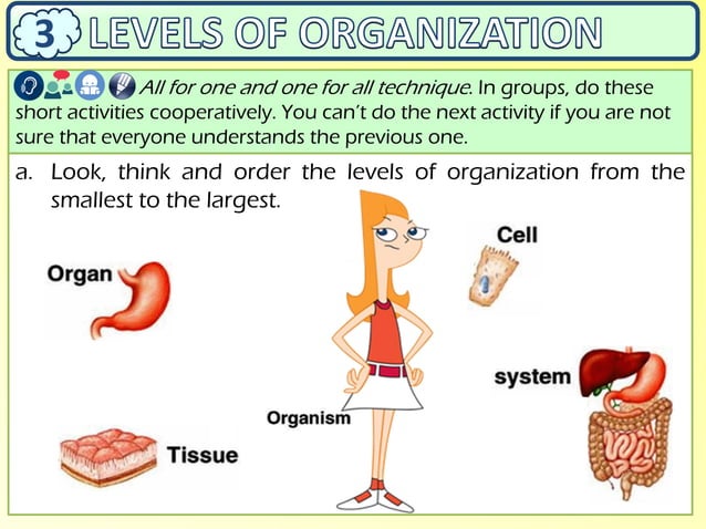 Presentation - The Organization of Living Things | PPT