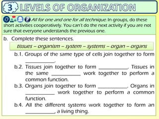 Presentation - The Organization of Living Things | PDF