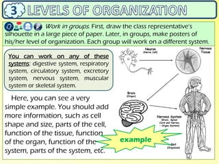 Presentation - The Organization of Living Things | PDF