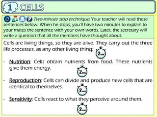 Presentation - The Organization of Living Things | PDF