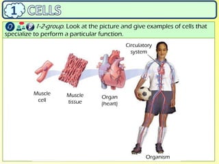 Presentation - The Organization of Living Things | PPT