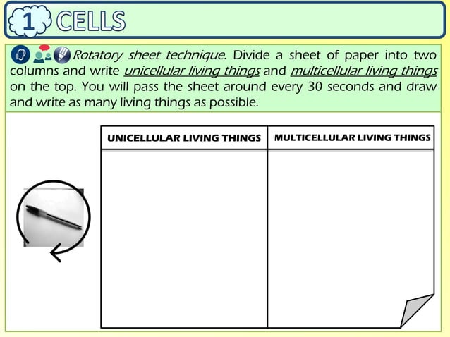 Presentation - The Organization of Living Things | PPT