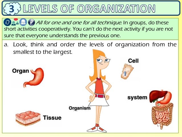 Presentation - The Organization of Living Things