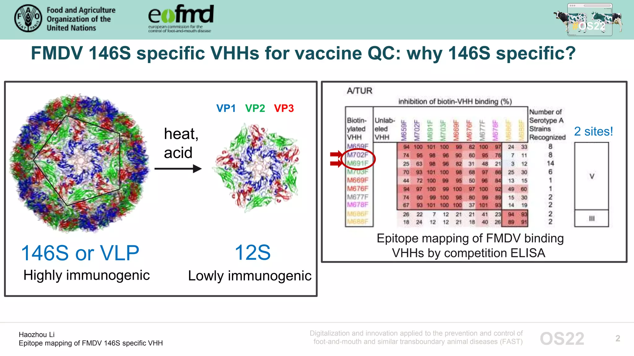 H. Li - Epitope mapping of FMDV 146S specific single-domain antibodies ...