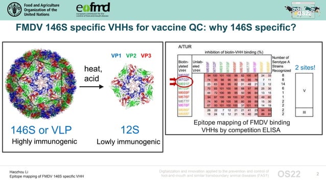 H. Li - Epitope mapping of FMDV 146S specific single-domain antibodies ...