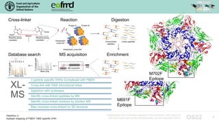 H. Li - Epitope mapping of FMDV 146S specific single-domain antibodies ...