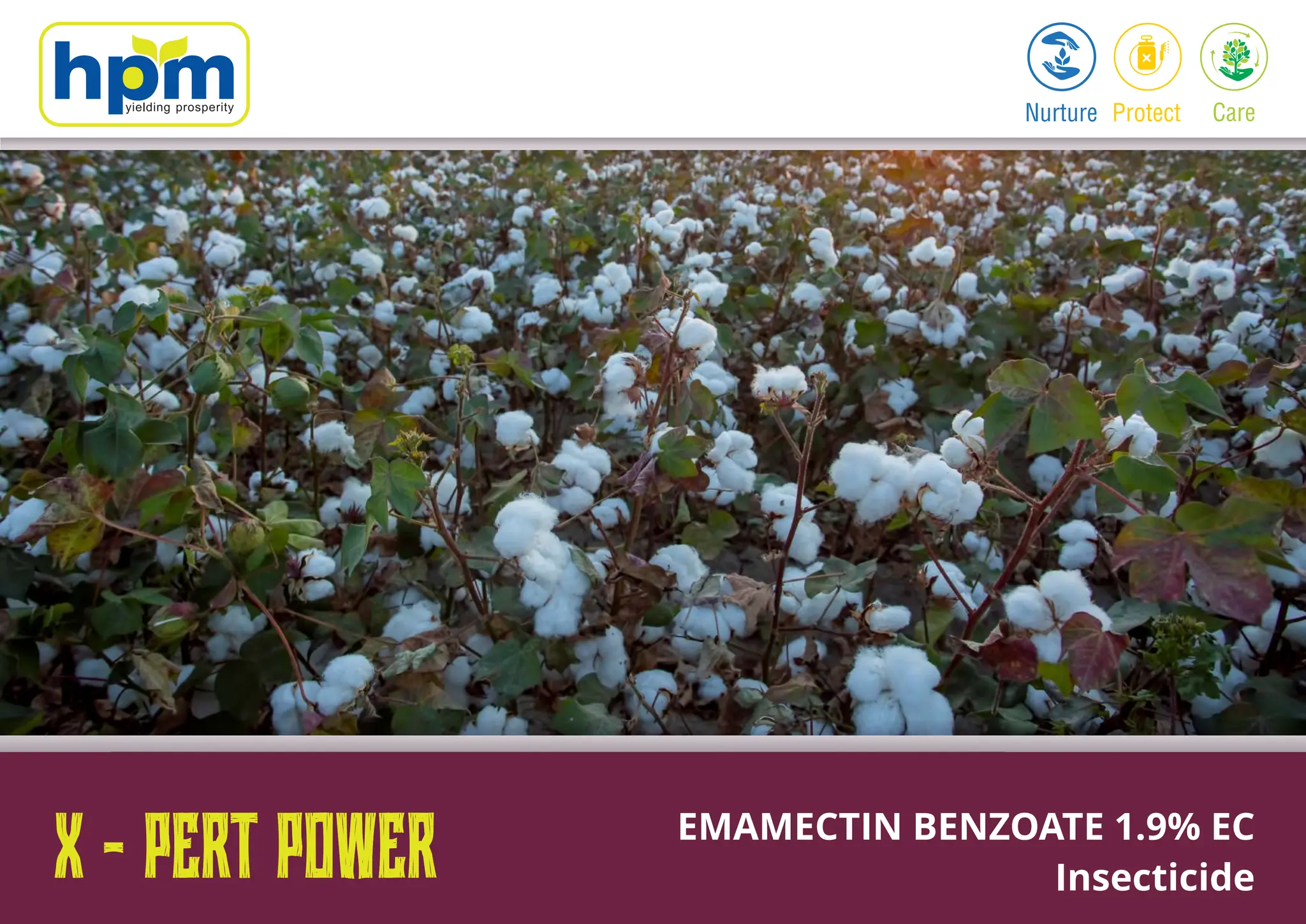 HPM X-Pert Power (Insecticides) Presentation | PDF