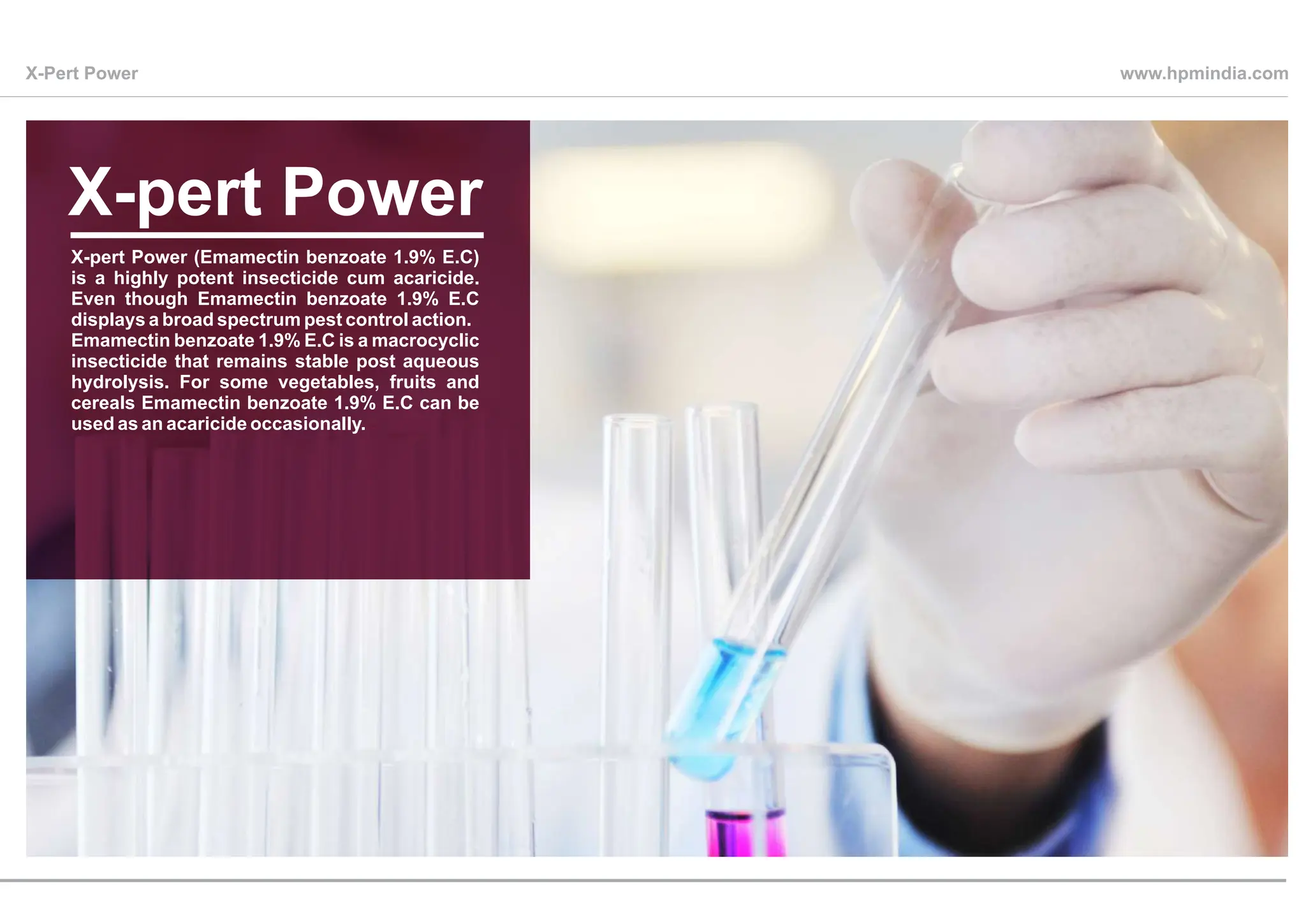 HPM X-Pert Power (Insecticides) Presentation | PDF