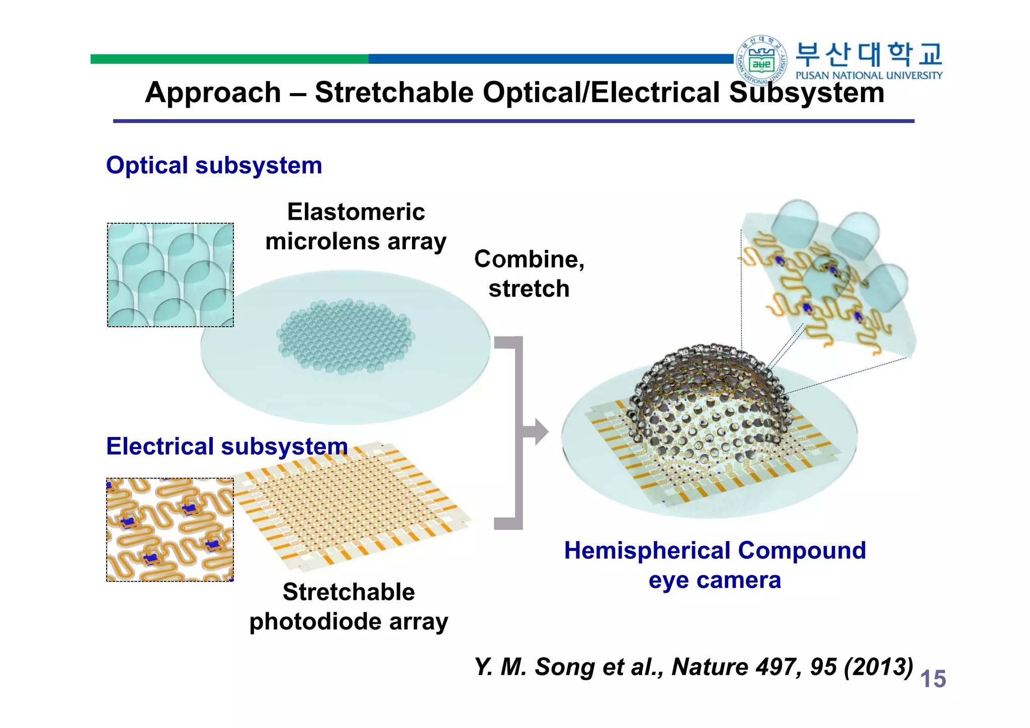 Biomimetics : Compound eyes | PDF