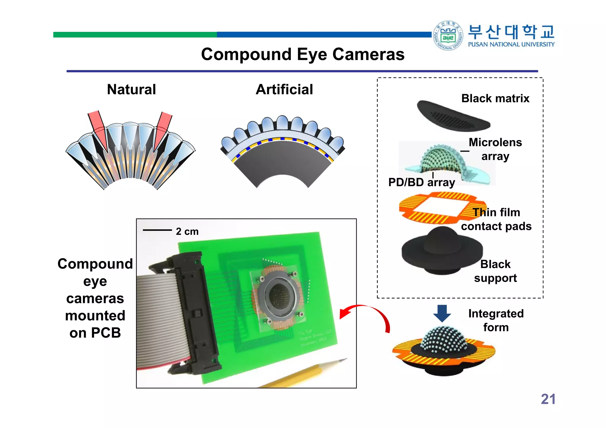 Biomimetics : Compound eyes | PDF