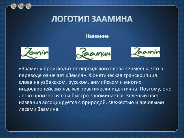 Presentation Zaamin | PPT