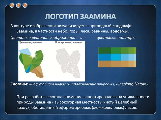 Presentation Zaamin | PPT