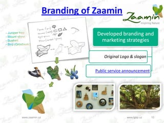 Presentation Zaamin_new | PPTX