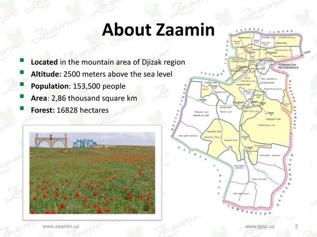 Presentation Zaamin_new | PPTX