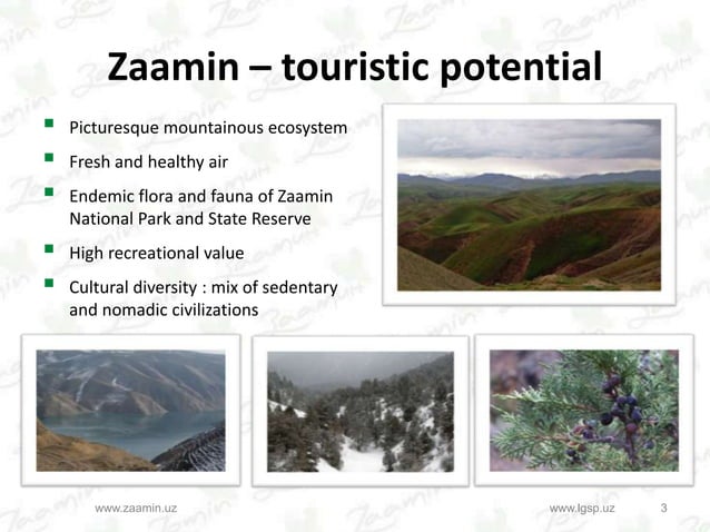 Presentation Zaamin_new | PPTX