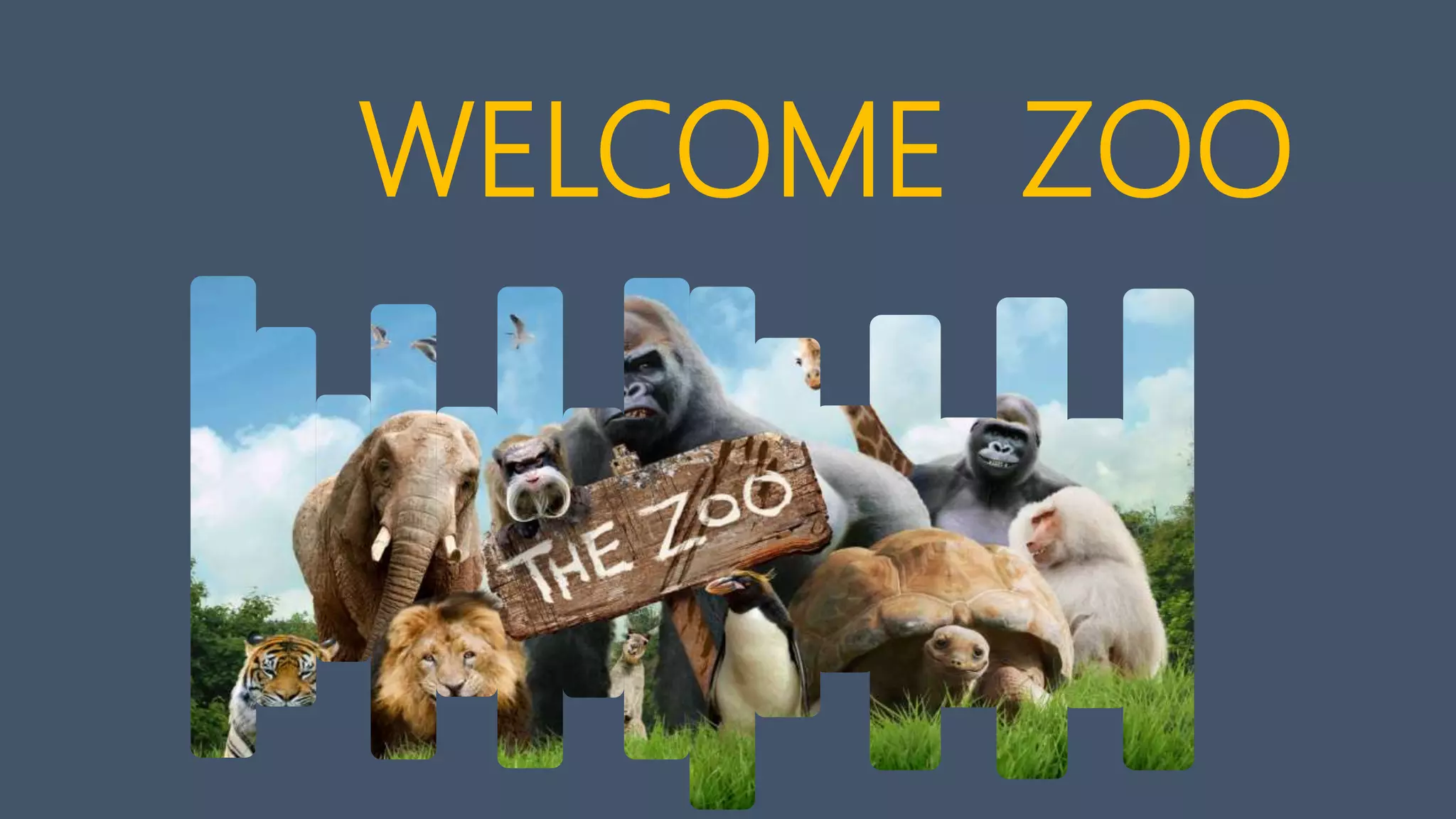 Presentation zoo | PPTX