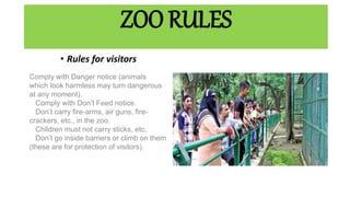 Presentation zoo | PPTX