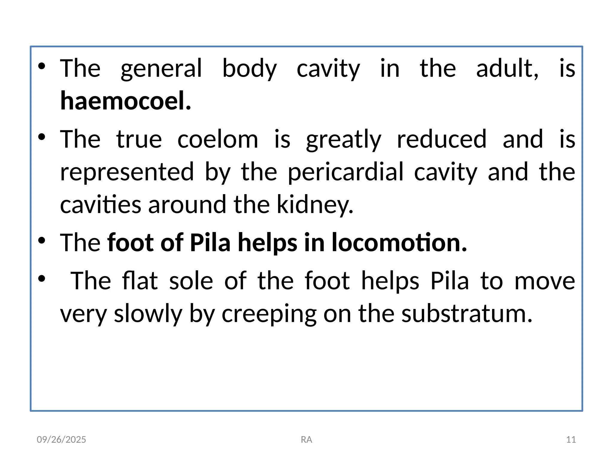 general charaters Presentat mollusca.pptx