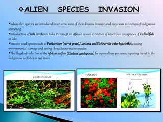 Presentatn1.pptx | Environmental Services Industry | Industries