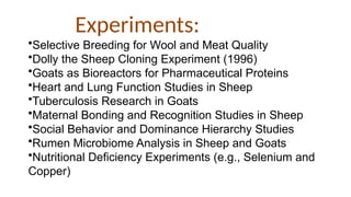 sheep and goat presentation zoo management.pptx