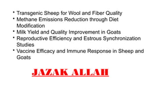 sheep and goat presentation zoo management.pptx