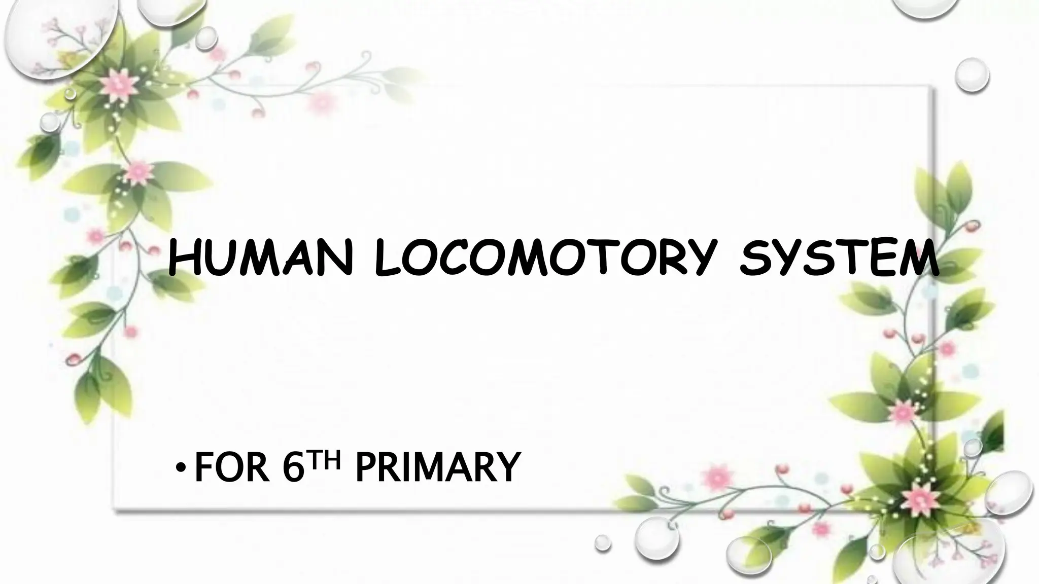 human locomotor system presentation.ptt. | PPT