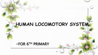 human locomotor system presentation.ptt. | PPT