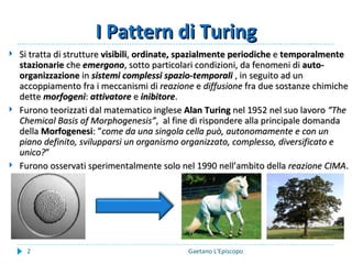 Pattern di Turing | PPT | Physics | Science