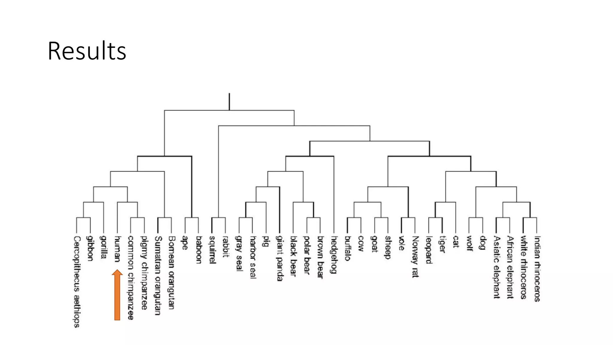 Biological sequences analysis | PPTX