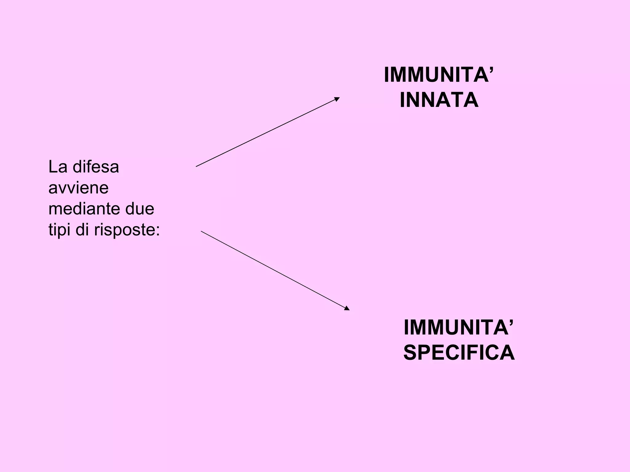 IL SISTEMA IMMUNITARIO | PPT