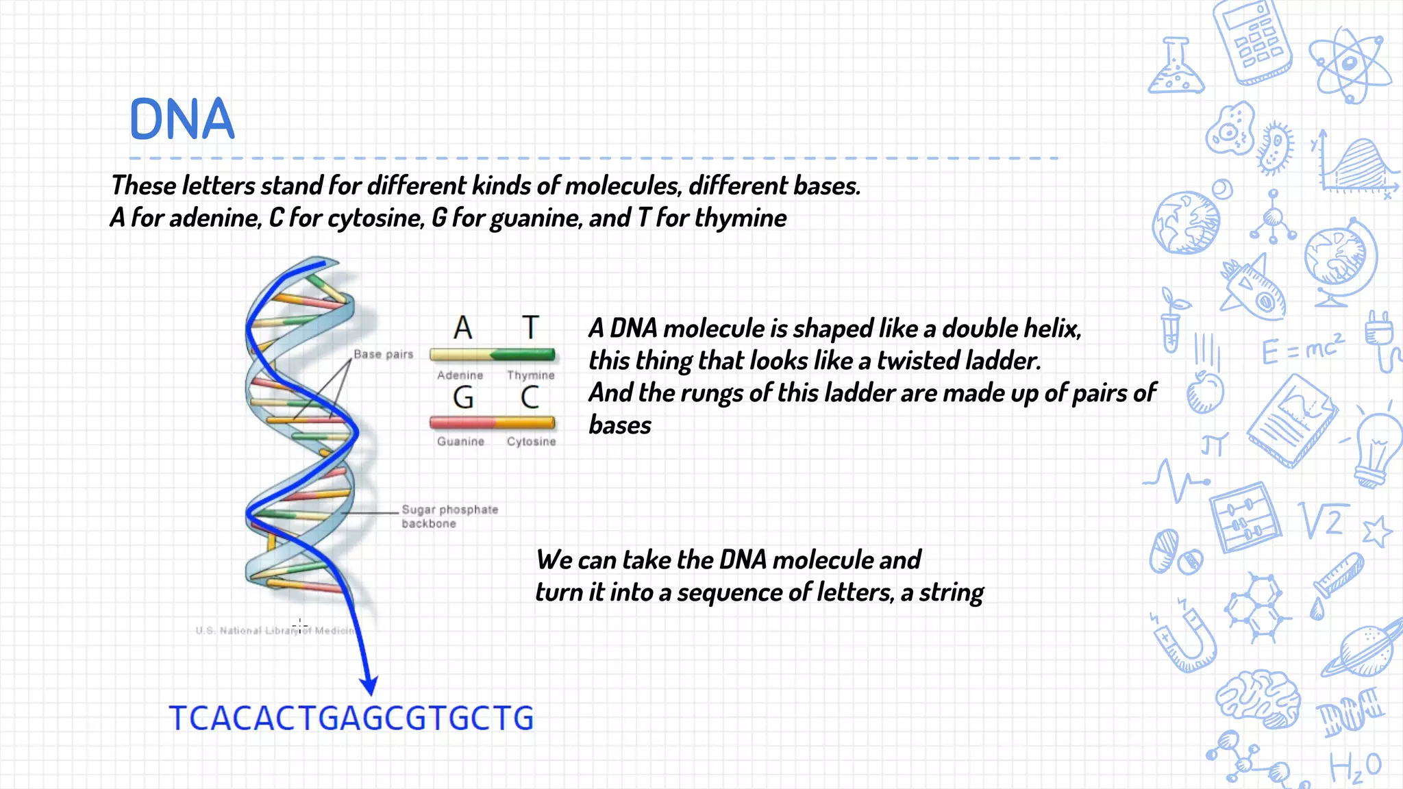 Burrows-Wheeler transform for terabases | PPT
