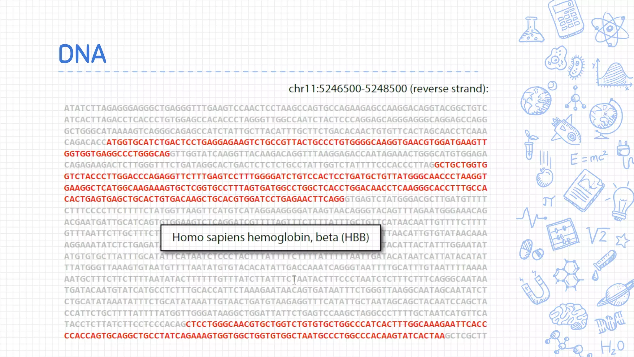 Burrows-Wheeler transform for terabases | PPT