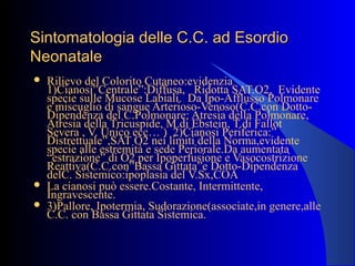 Presentazione2 | PPT