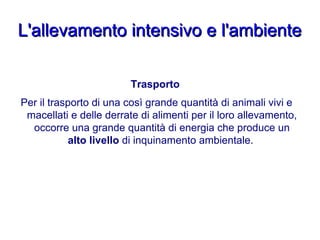 Gli allevamenti intensivi | PPT