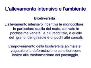 Gli allevamenti intensivi | PPT