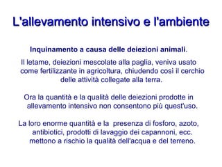 Gli allevamenti intensivi | PPT
